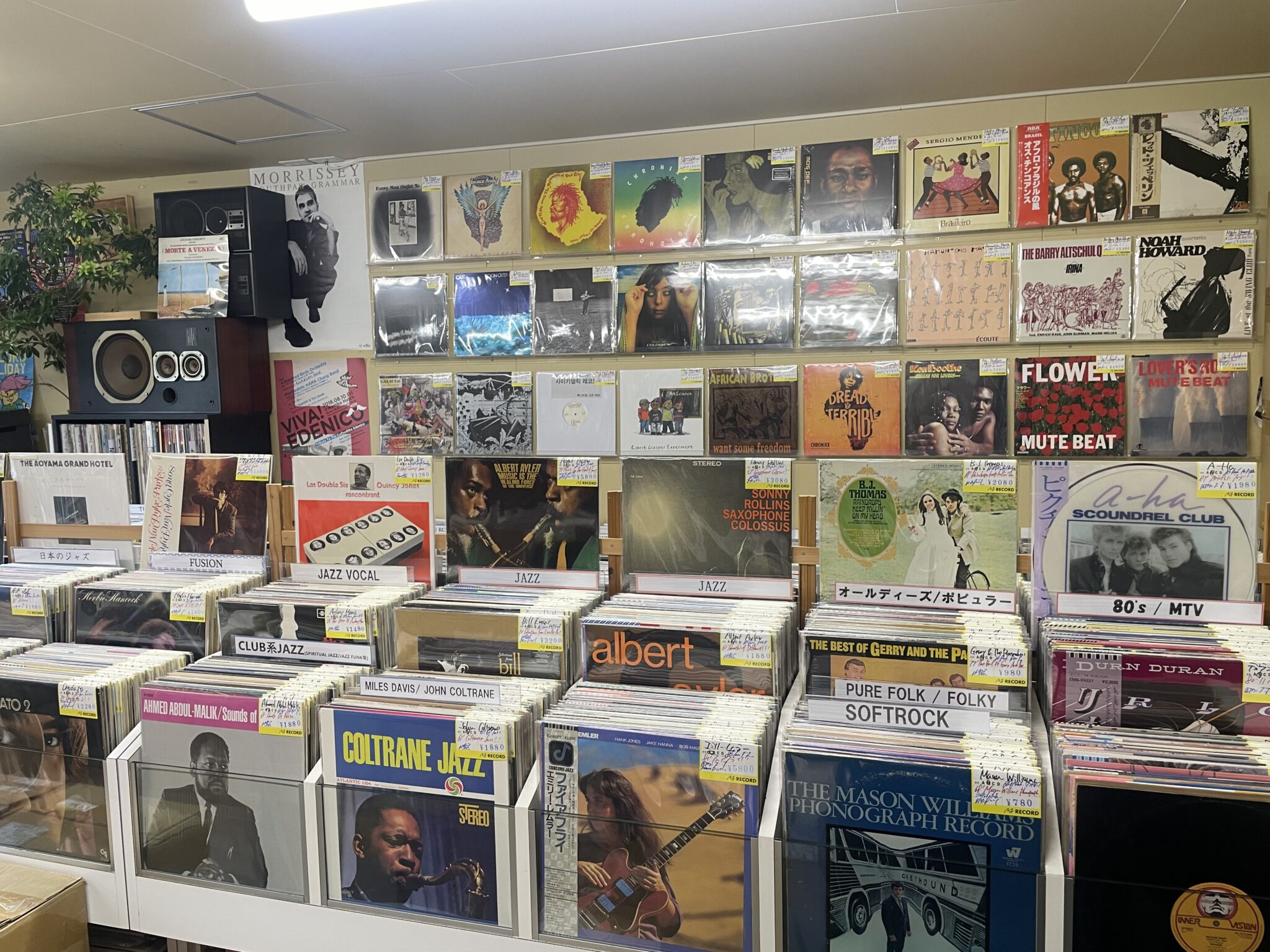 出店情報（とくしま新町ナイトマーケット） - 株式会社BYC ENTERTAINMENT